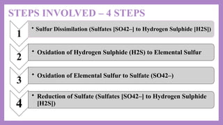 Biogeo chemical cyle...(Sulfur cycle).pptx