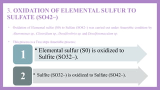 Biogeo chemical cyle...(Sulfur cycle).pptx