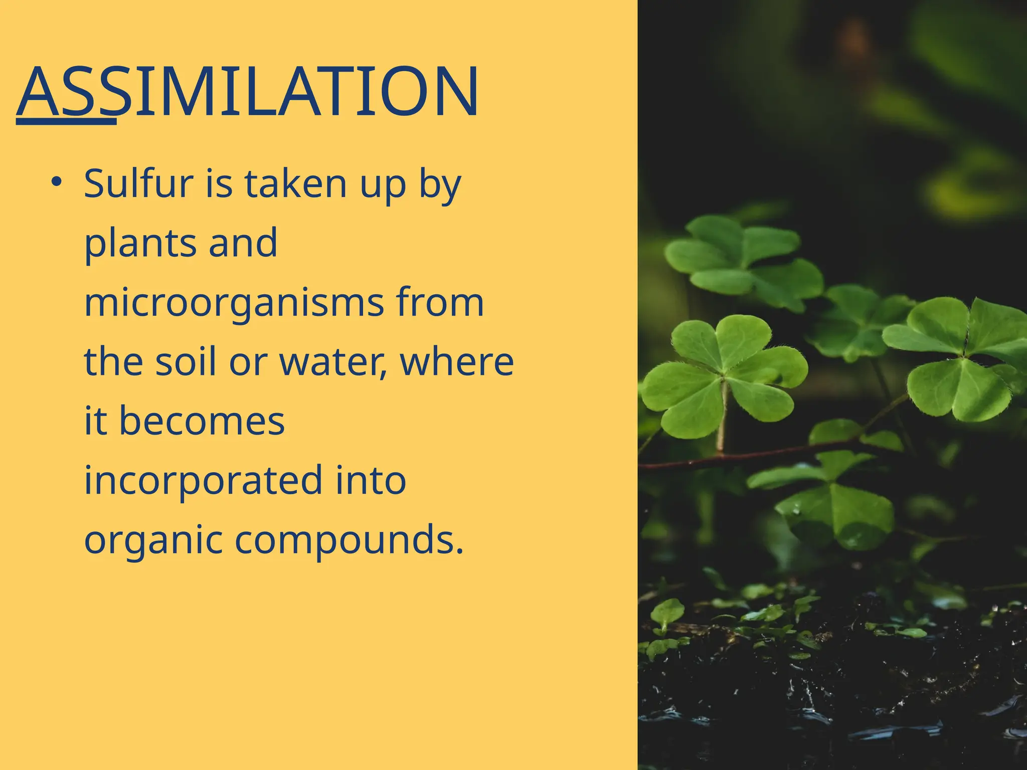 Sulfur Cycle - Definition, Composition and Importance | PPTX
