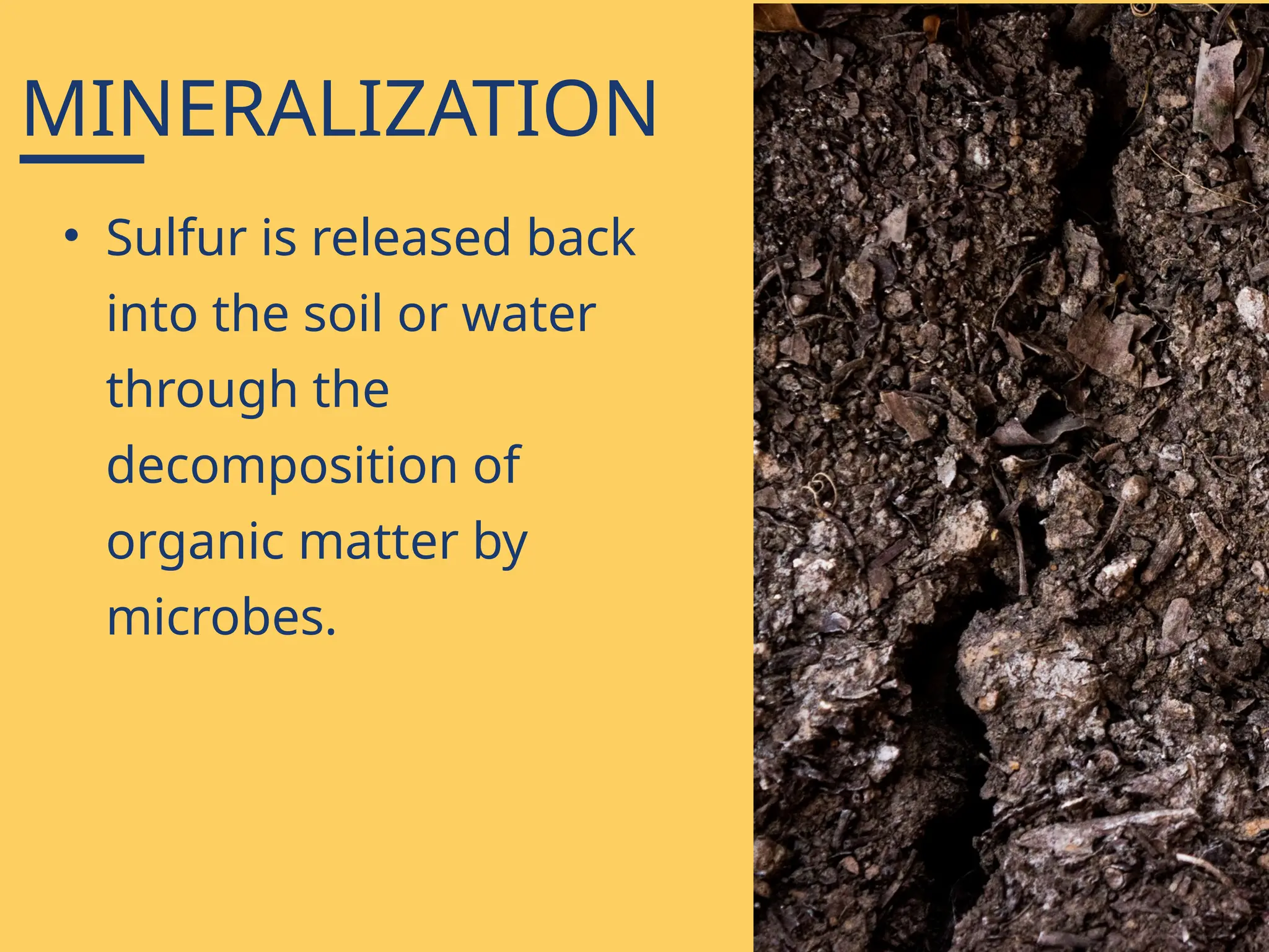 Sulfur Cycle - Definition, Composition and Importance | PPTX