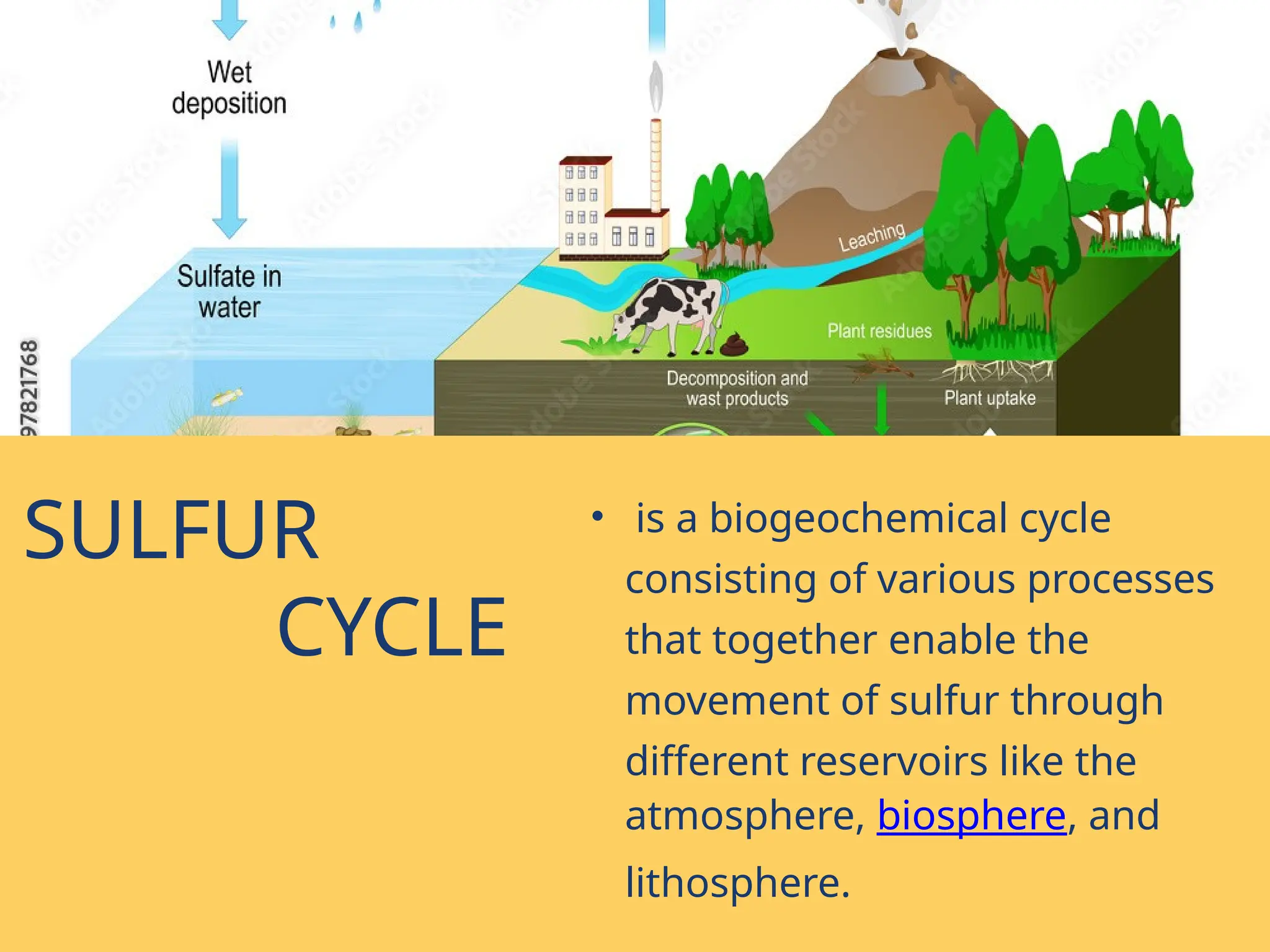Sulfur Cycle - Definition, Composition and Importance | PPTX | Science