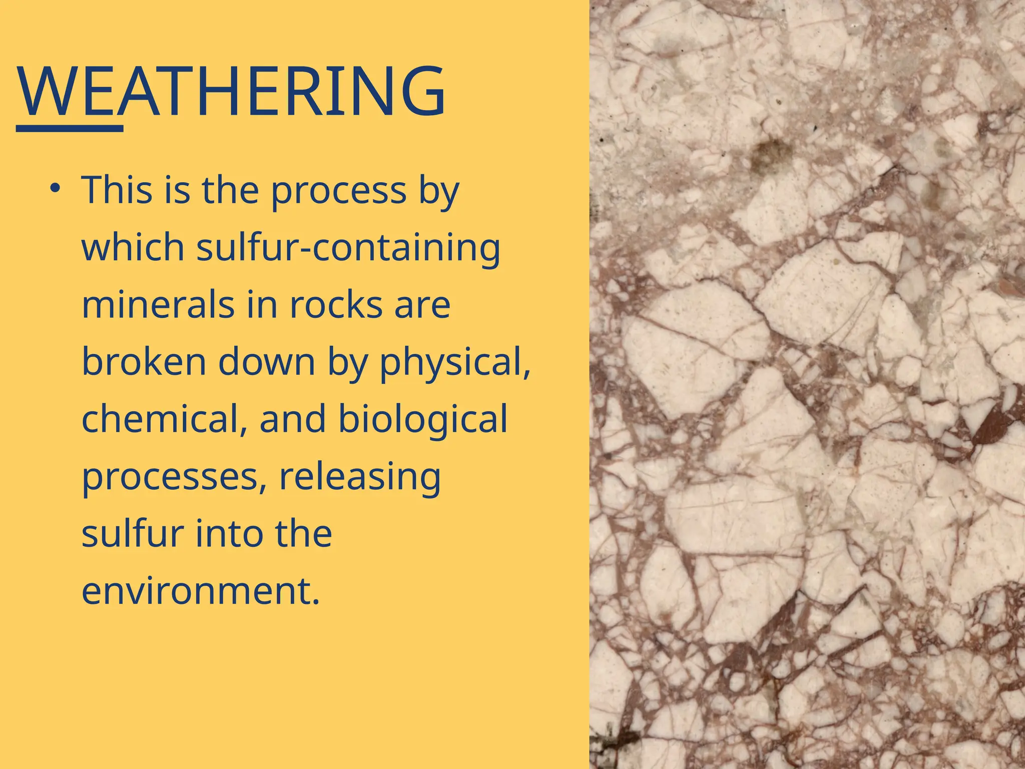 Sulfur Cycle - Definition, Composition and Importance | PPTX
