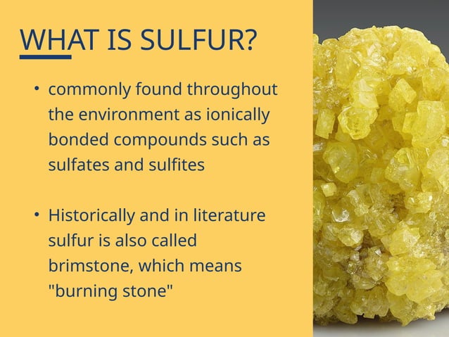 Sulfur Cycle - Definition, Composition and Importance | PPTX | Science