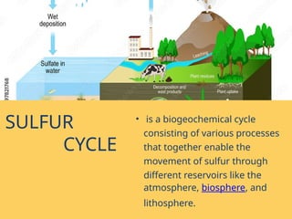 Sulfur Cycle - Definition, Composition and Importance | PPTX