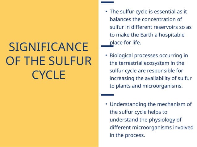 Sulfur Cycle - Definition, Composition and Importance | PPTX | Science