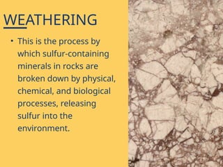 Sulfur Cycle - Definition, Composition and Importance | PPTX