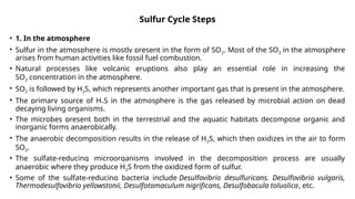 Sulfur Cycle- Definition, Steps, Examples,.pptx