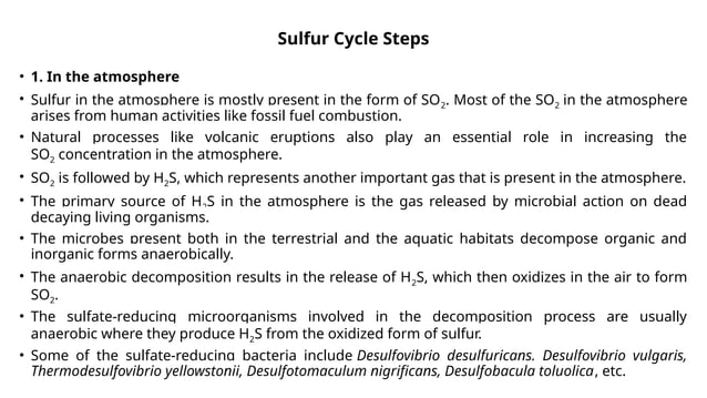 Sulfur Cycle- Definition, Steps, Examples,.pptx