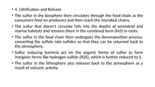 Sulfur Cycle- Definition, Steps, Examples,.pptx