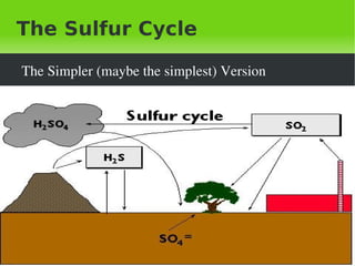 Simple Sulfur Cycle Diagram