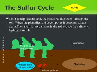 Sulfur Cycle For Kids