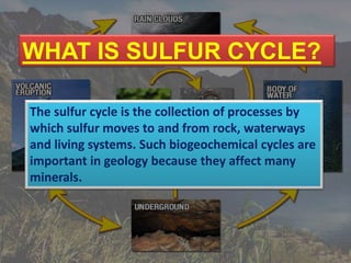 Sulfur cycle , madhuri singh | PPTX