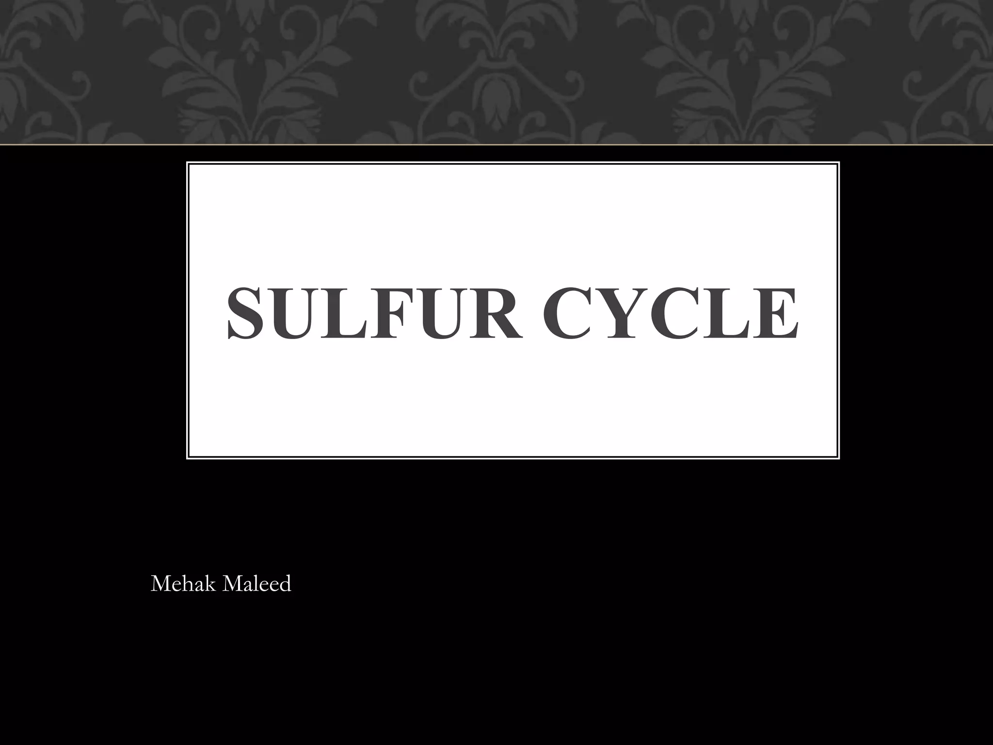 Sulfur cycle | PPTX