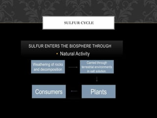 Sulfur cycle | PPTX