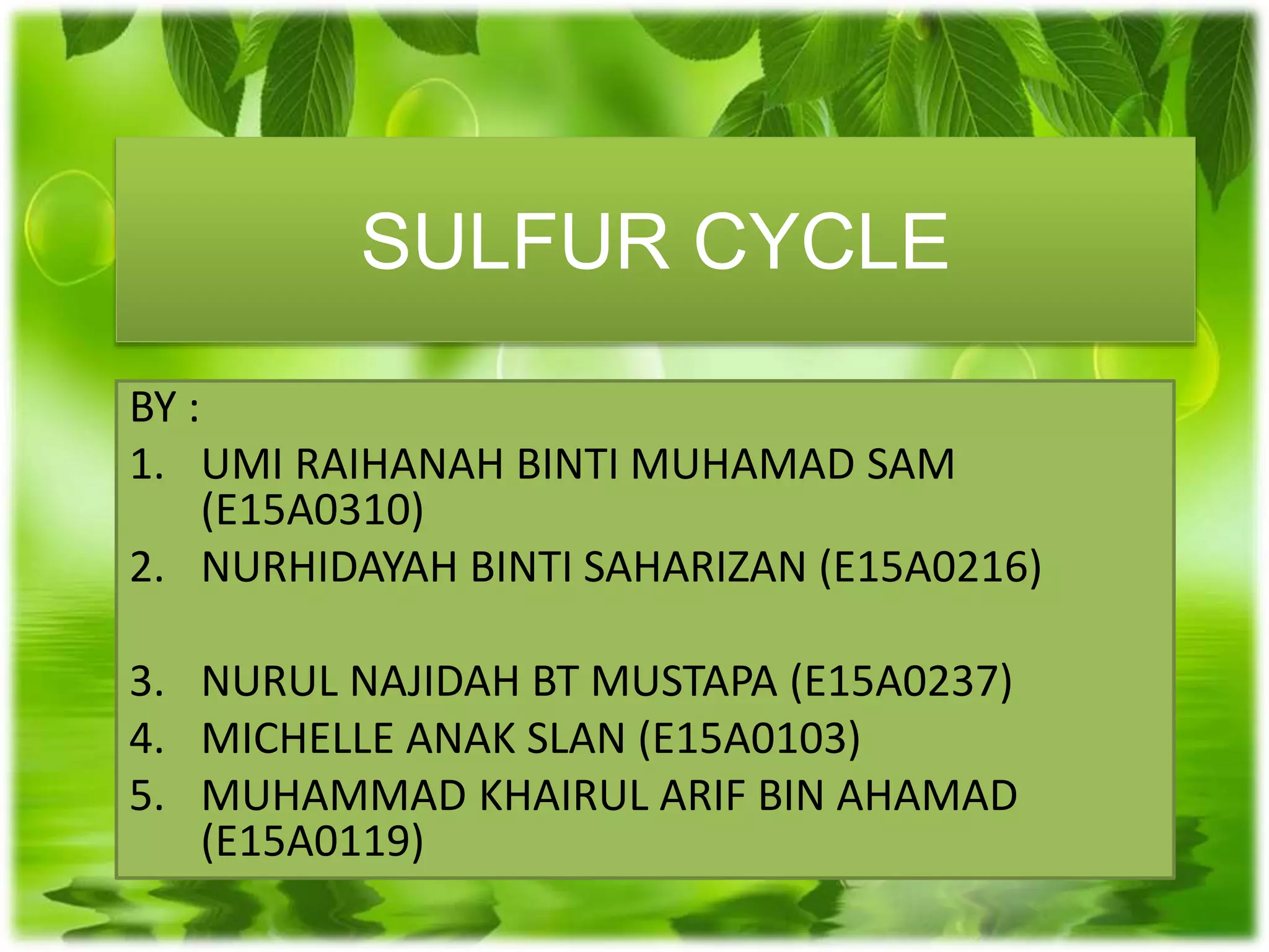 Sulfur cycle presentation | PPTX