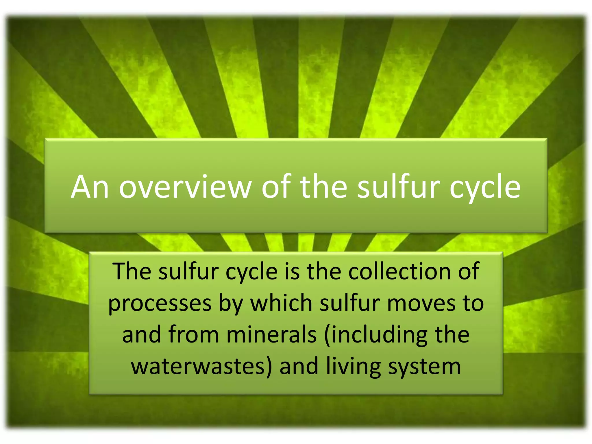 Sulfur cycle presentation | PPTX