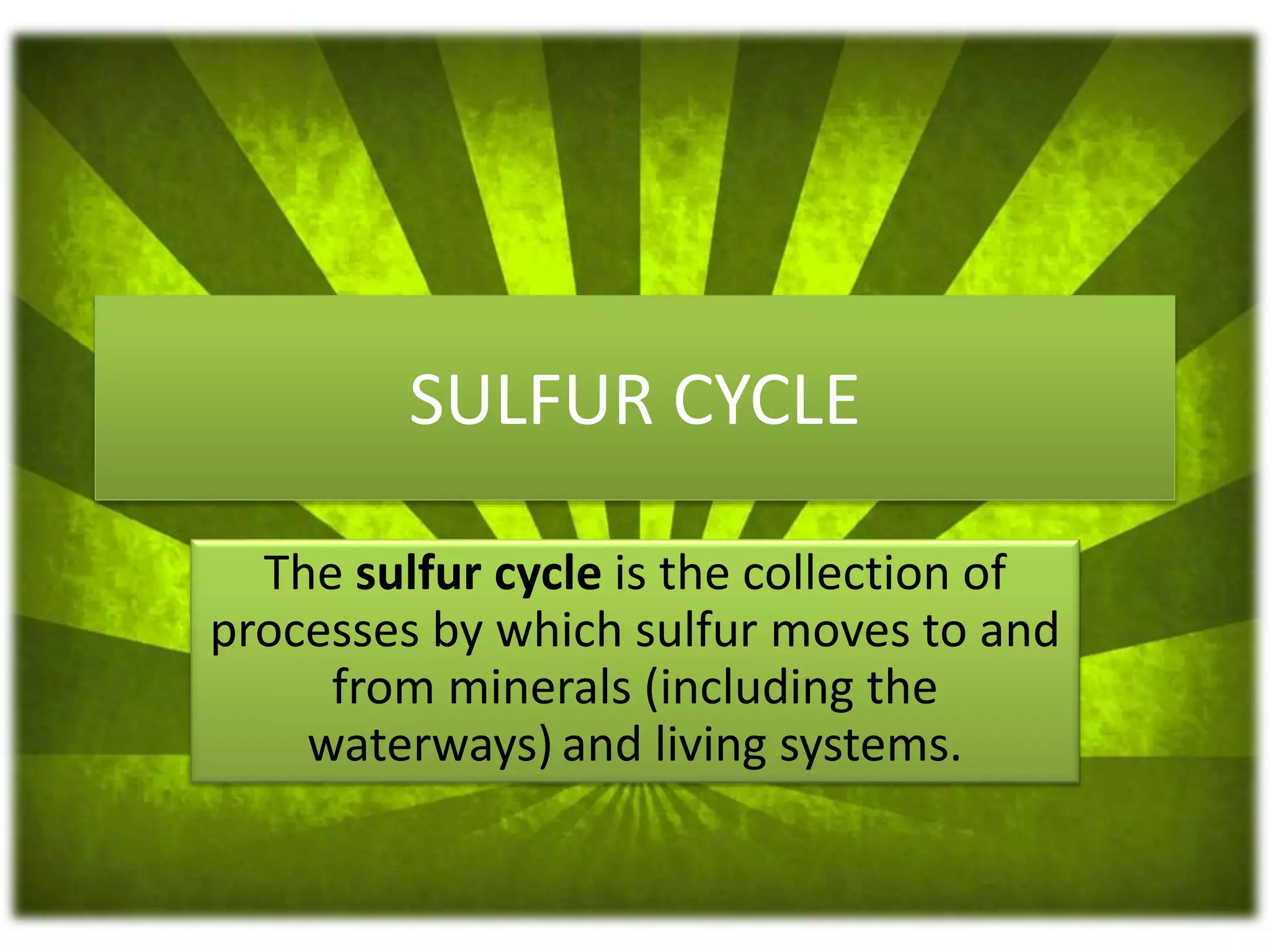 Sulfur cycle presentation | PPTX