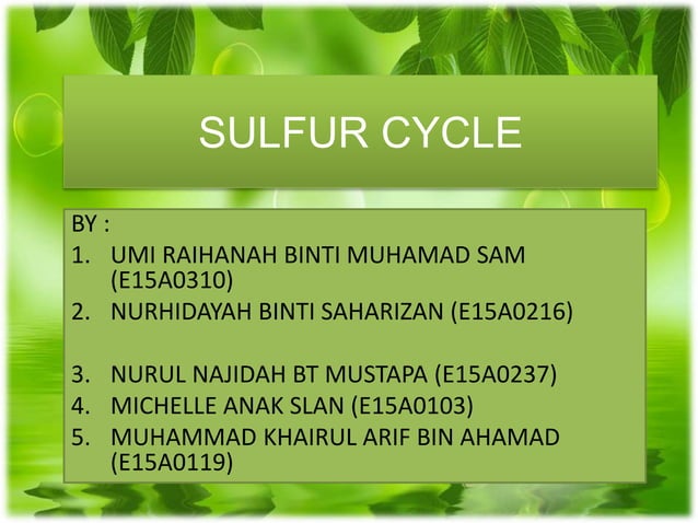 Sulfur cycle presentation | PPTX