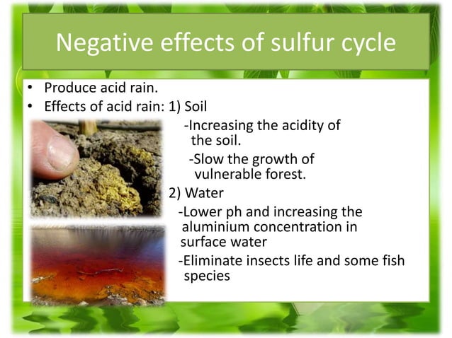Sulfur cycle presentation | PPTX