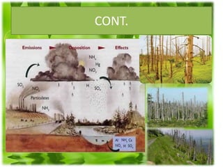 Sulfur cycle presentation | PPTX