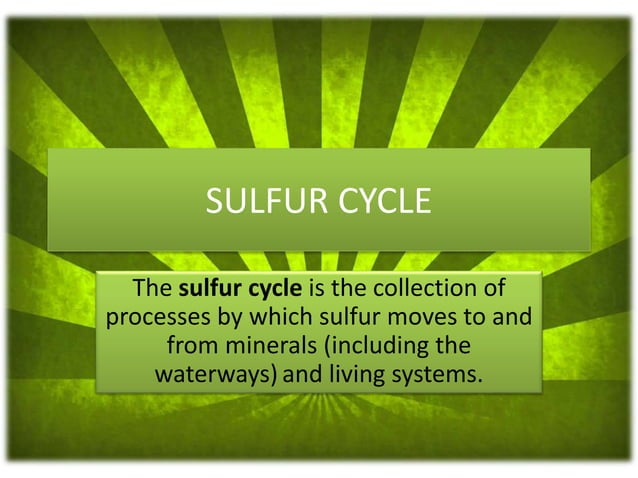 Sulfur cycle presentation | PPTX