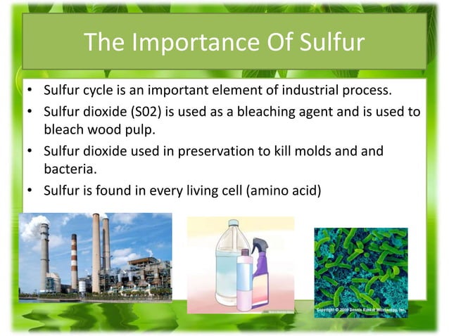 Sulfur cycle presentation | PPTX