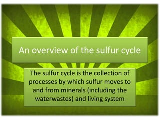 Sulphur Cycle Ppt
