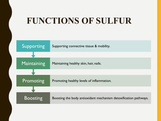 Sulfur in human body | PDF