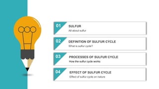 Sulfur | PPTX