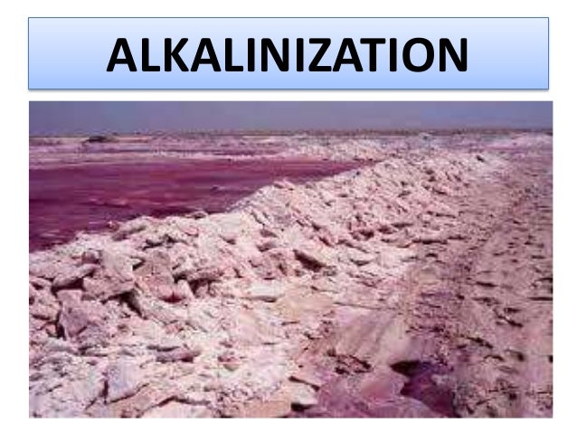 Mga Halimbawa Ng Suliraning Pangkapaligiran Sa Pilipinas | isyumundo