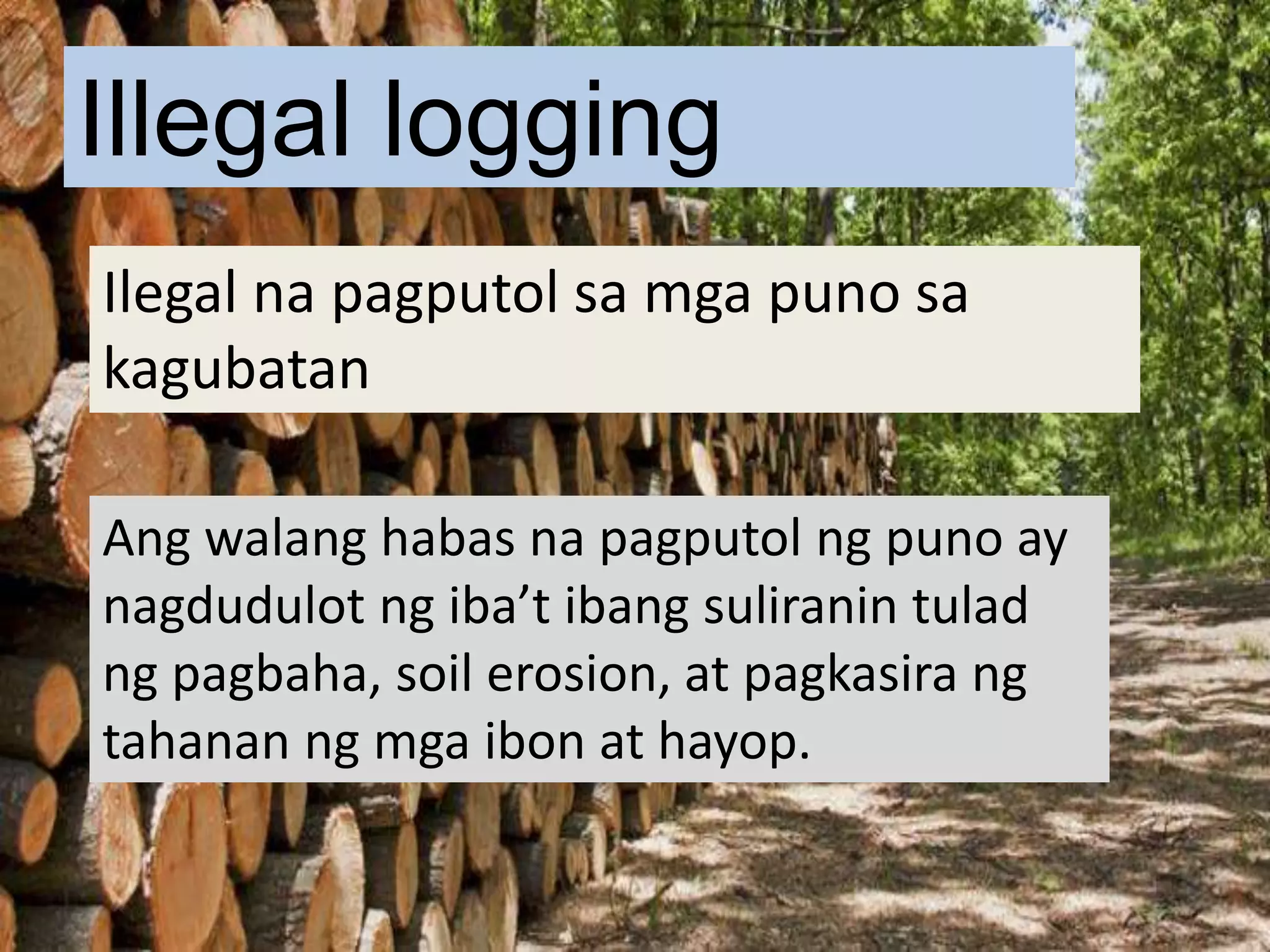 SULIRANING PANGKAPALIGIRAN - Solid Waste Management, Deforestation, at Climate Change | PPTX