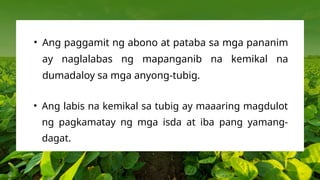 Suliranin sa Sektor ng Agrikultura (pangingisda, Paggugubat).pptx
