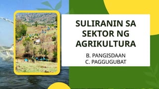 Suliranin sa Sektor ng Agrikultura (pangingisda, Paggugubat).pptx