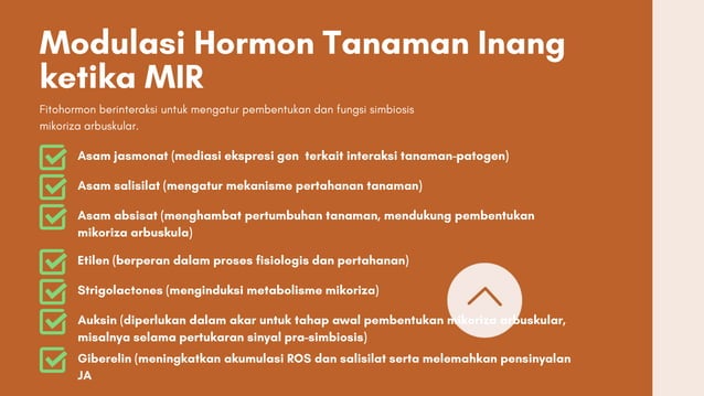 Asosiasi mikoriza dan perannya dalam perlindungan penyakit tanaman.pptx
