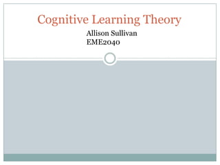 Sullivan theory | PPTX