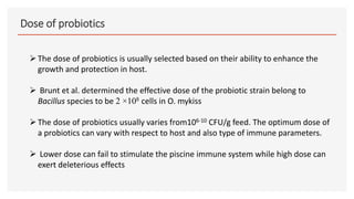 Probiotics in Fish Immunity (Sulove Koirala) | PPTX