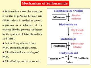 Sulphonamide | PPTX