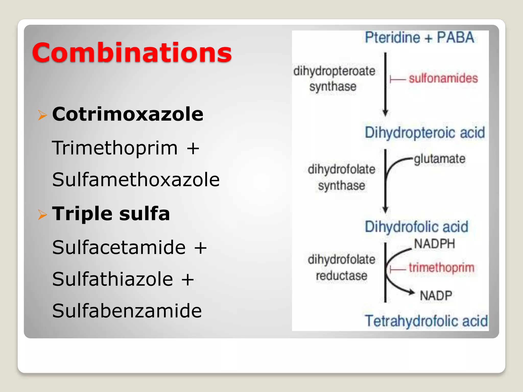 Sulphonamide | PDF