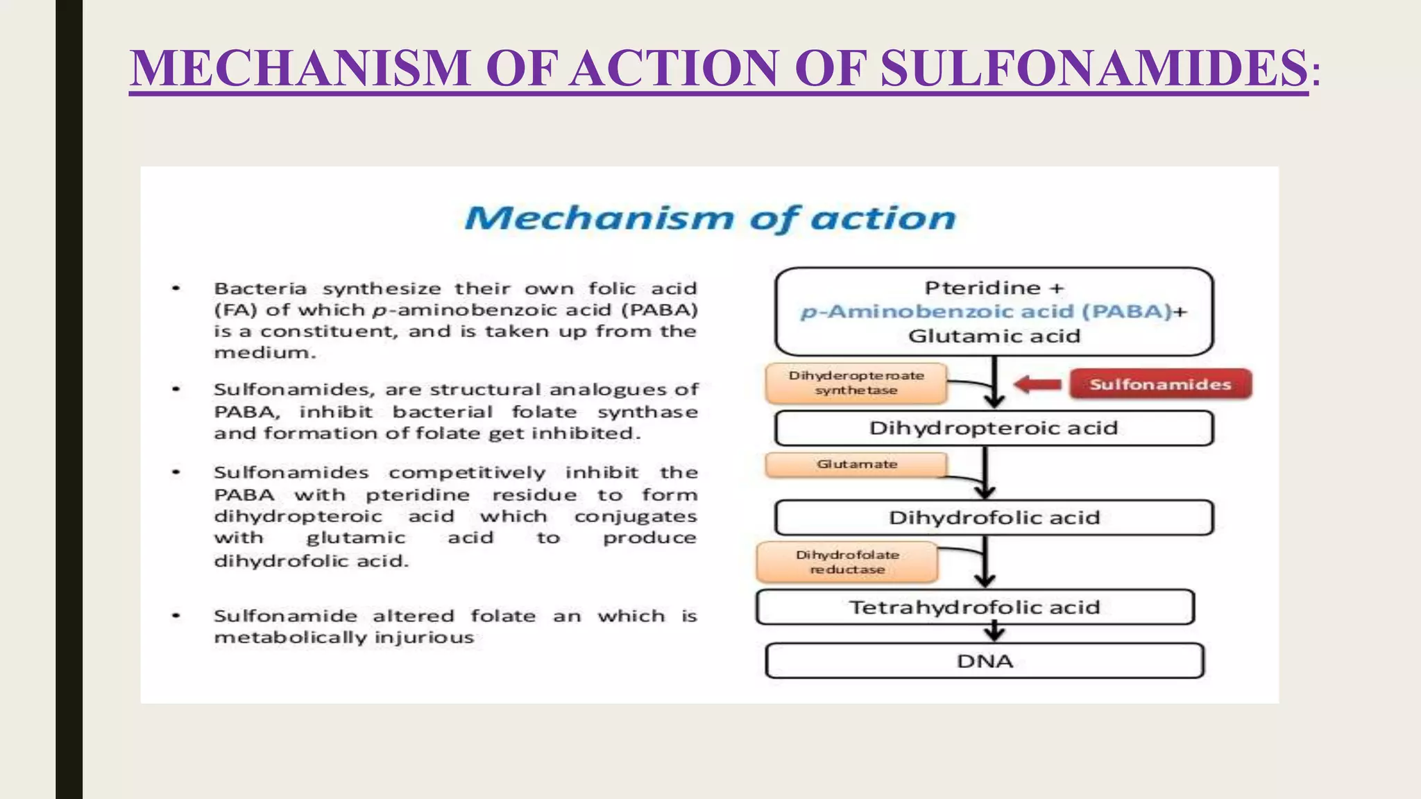 Sulphonamides | PPT