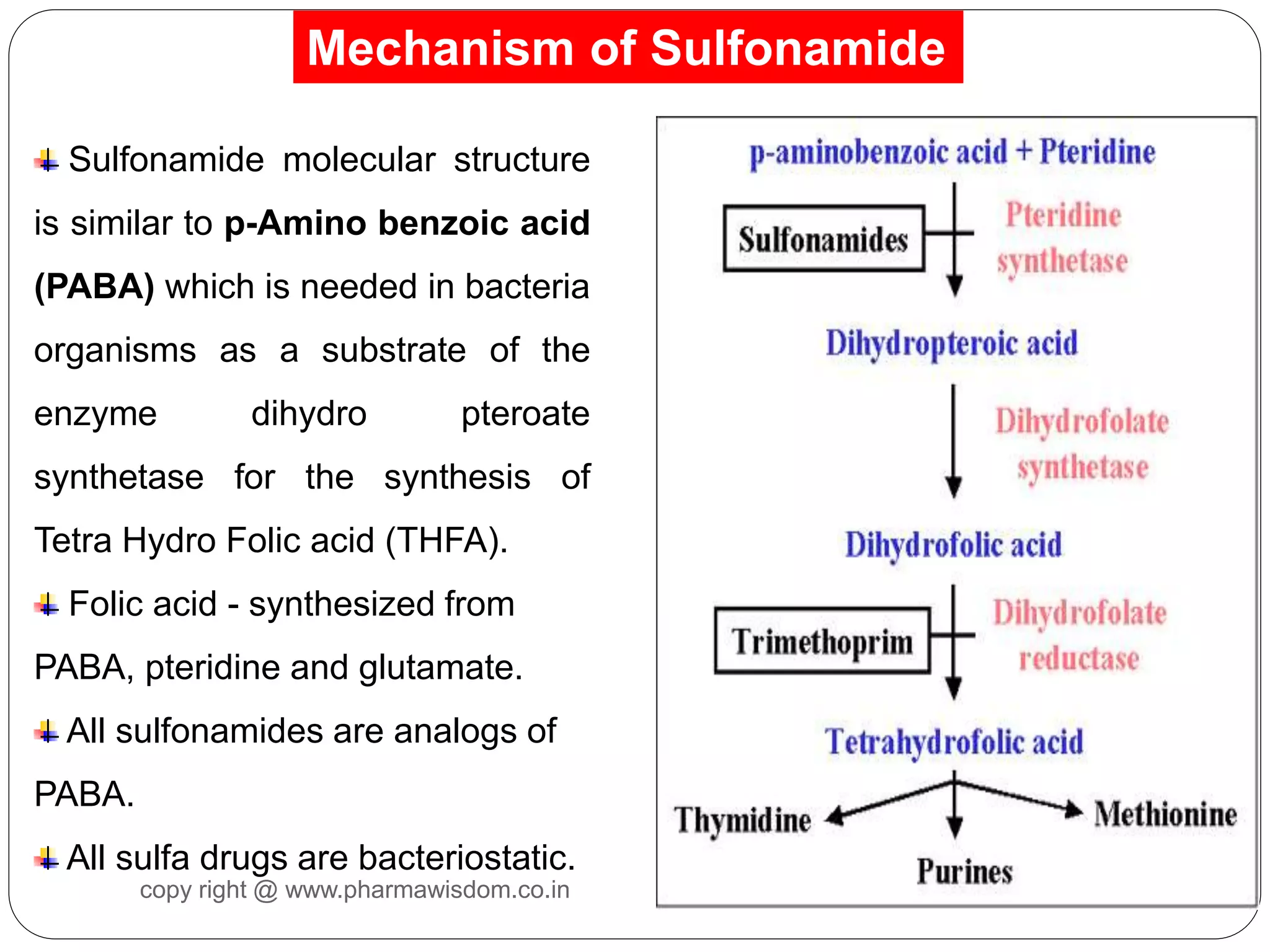Sulphonamides (Sulfonamides) and Sulfones || B.Pharm VI Semester ...