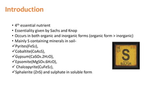 Sulphur | PPT