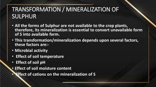 Sulphur.characteristics role importances | PPTX