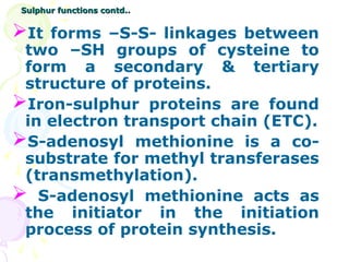mineral metabolism sulphur a rare mineral deficiency | PPT