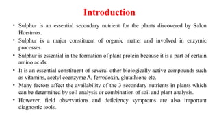 Sulphur soil science 6th sem 2025 ..pptx