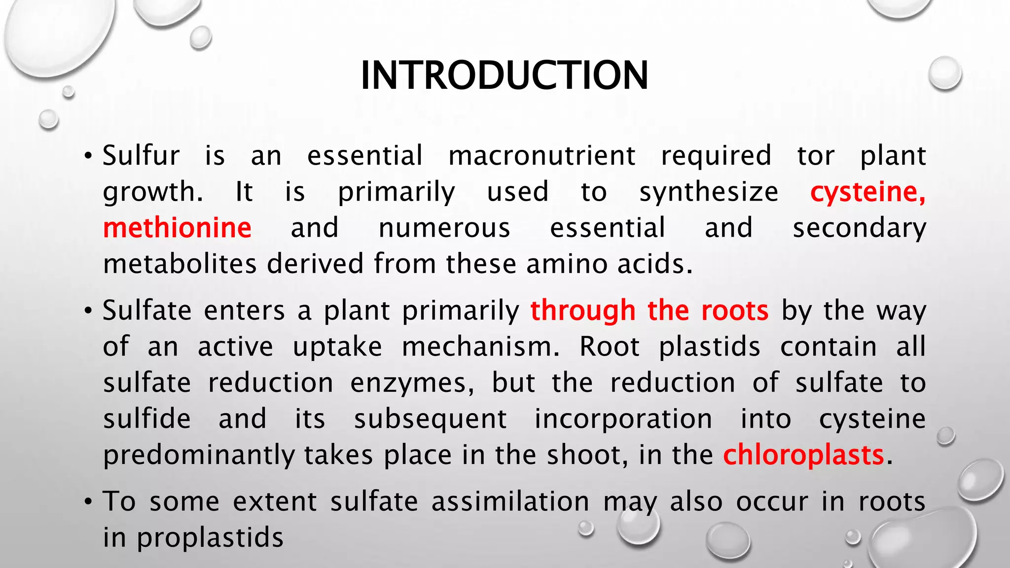 Sulphur assimilation in plants | PPTX