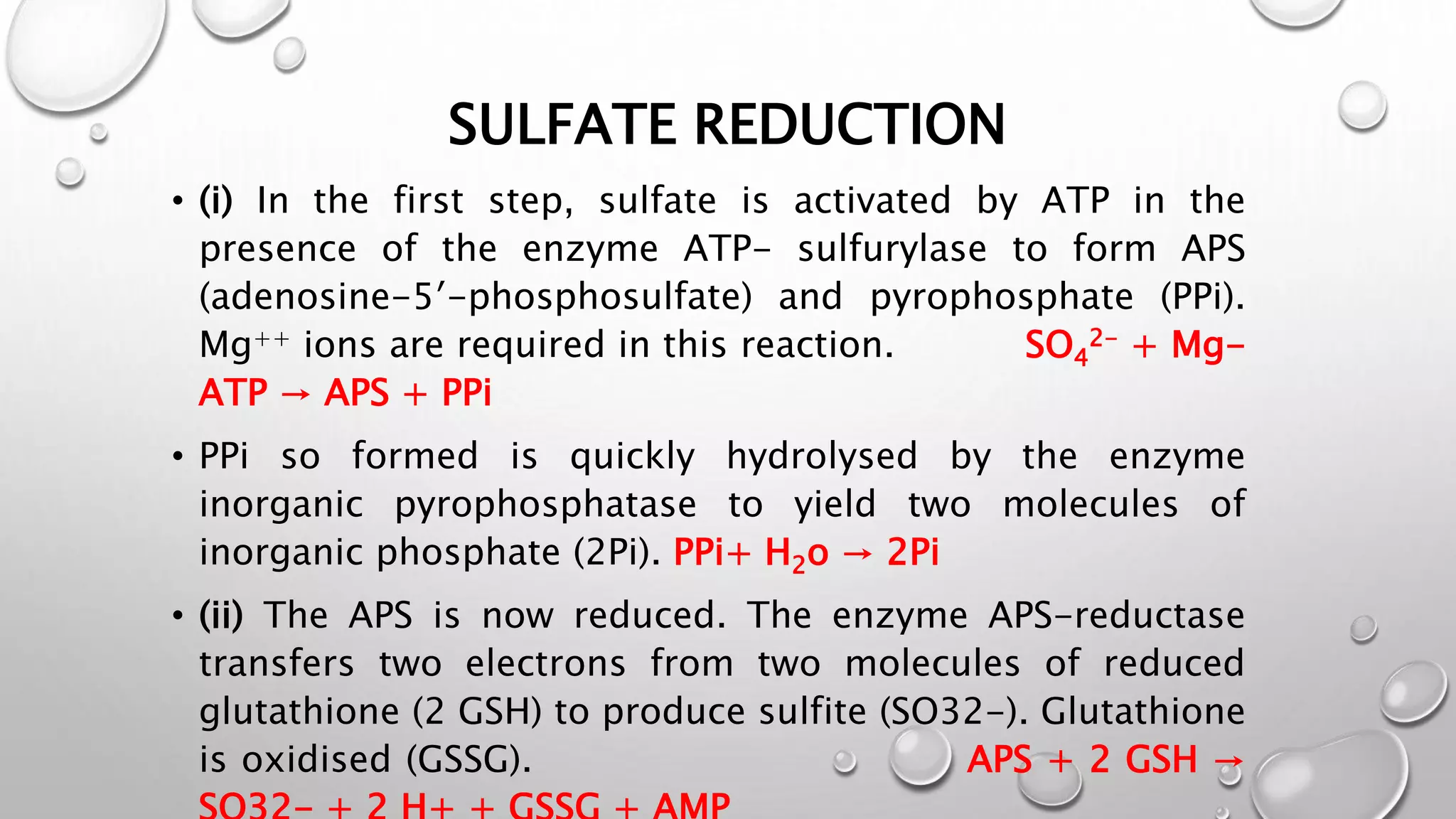 Sulphur assimilation in plants | PPTX