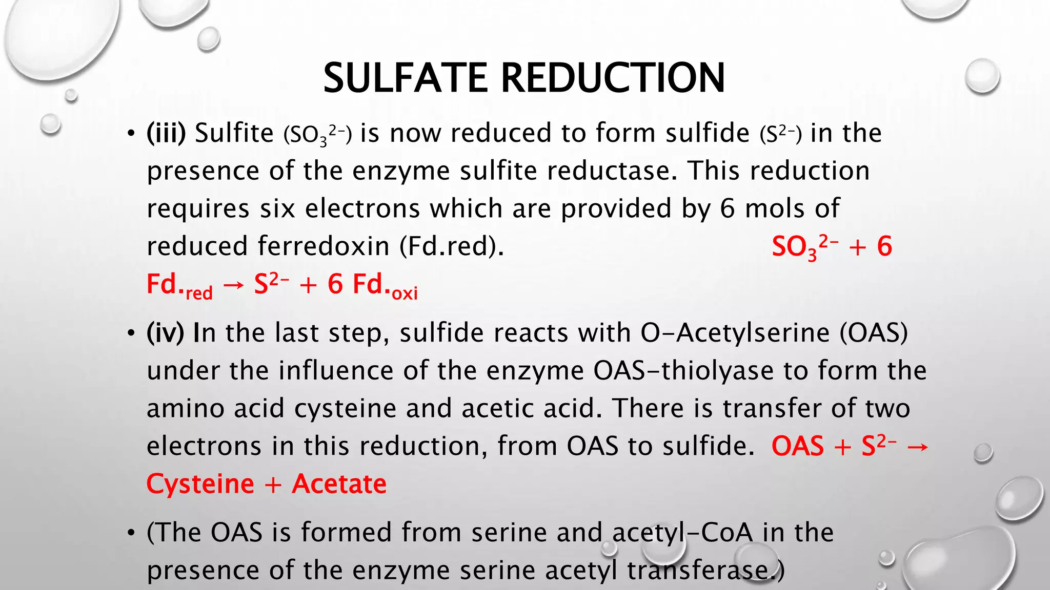 Sulphur assimilation in plants | PPTX