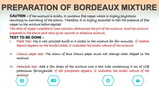 Sulphur and copper fungicides | PDF