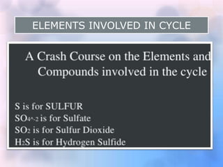 Sulphur cycle | PPTX