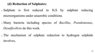 Sulphur cycle | PPTX